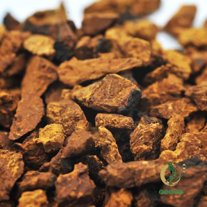 Dried Chaga